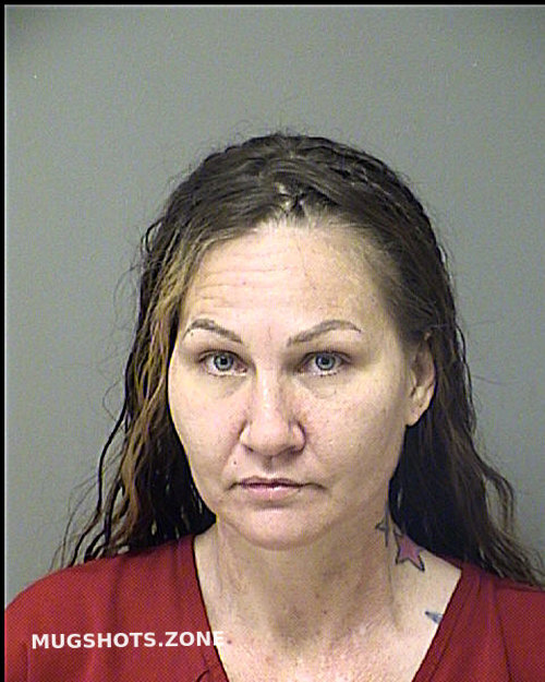 CRUZ HEATHER MICHELLE 07/02/2025 - Porter County Mugshots Zone