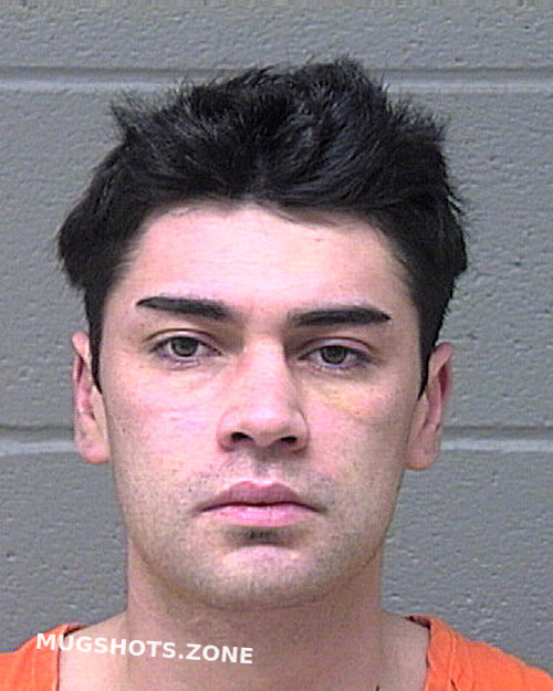 VILLA GREGORY ALFONSO 07/10/2025 - Porter County Mugshots Zone