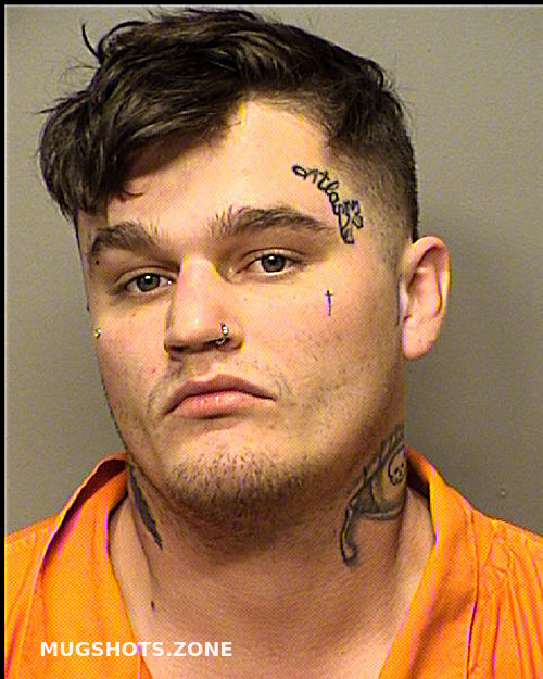 GROVE DAKOTA DANIEL 07/13/2025 - Porter County Mugshots Zone