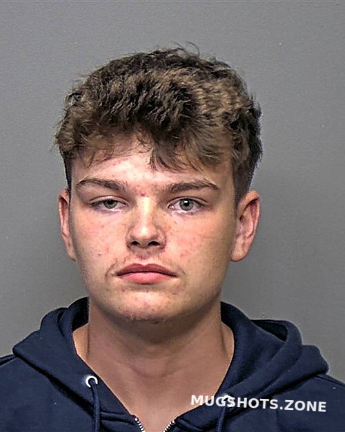 DAVIS JORDAN STEVEN 11/19/2025 - Porter County Mugshots Zone