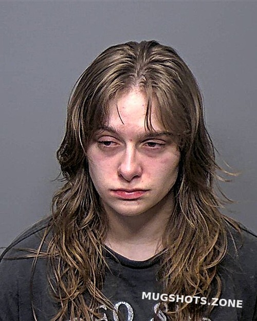 CORAM BREANNA LYNN 12/28/2025 - Porter County Mugshots Zone