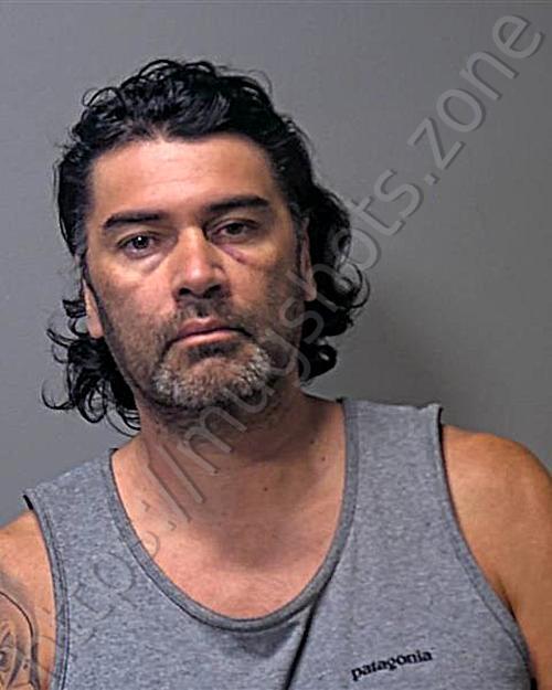 VILLA GREGORY ALFONSO 03/24/2026 - Porter County Mugshots Zone