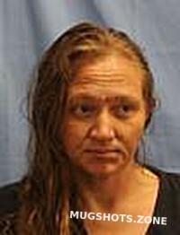 SANDERS TABITHA 08/22/2024 - Pulaski County Mugshots Zone