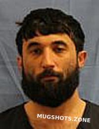 MINTON LOGAN 10/12/2024 - Pulaski County Mugshots Zone