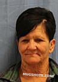 HUDSON JANET GALE 11/22/2024 - Pulaski County Mugshots Zone