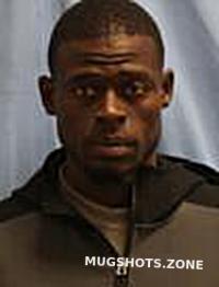 LEE JONATHAN LEWIS 11/22/2024 - Pulaski County Mugshots Zone