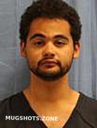 RUDOLPH DEVIN 11/28/2024 - Pulaski County Mugshots Zone