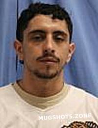 CASTILLO LUIS DANIEL 03/07/2025 - Pulaski County Mugshots Zone