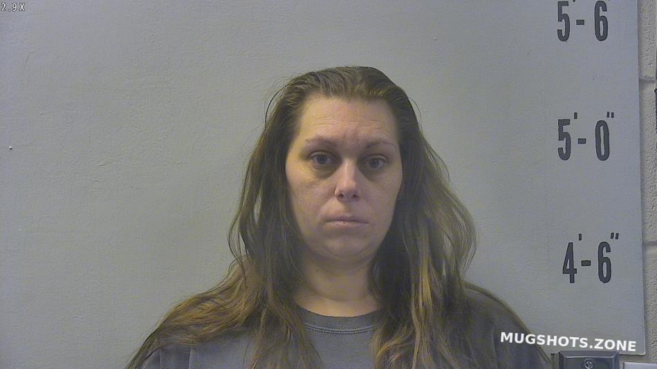 BOGAN KRISTI 02/14/2024 - Pulaski County Mugshots Zone