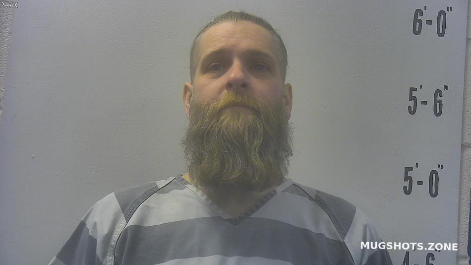REEDY DAVID ALLAN 02/22/2025 - Pulaski County Mugshots Zone