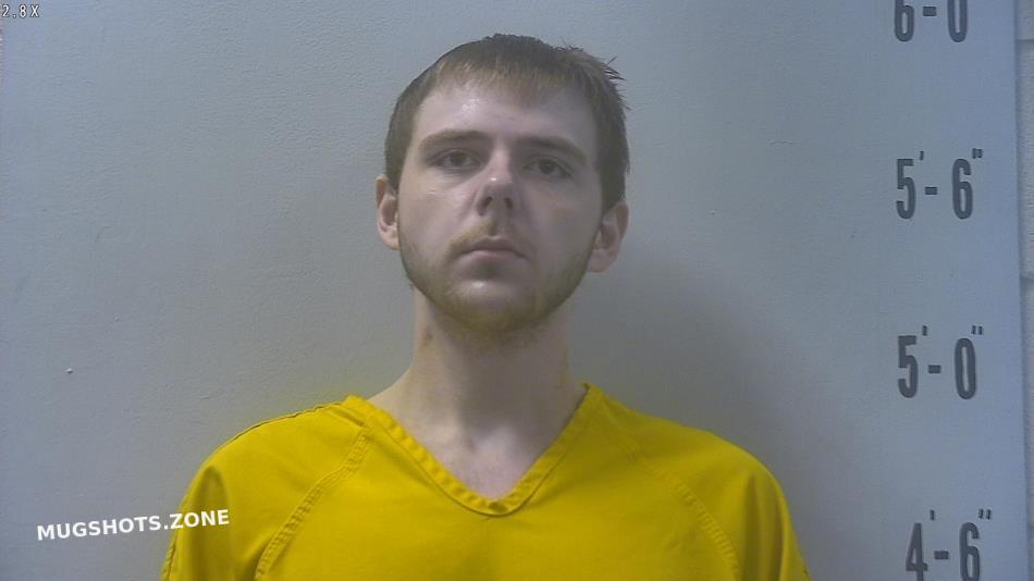 HARRELL DAMIAN B 03/22/2025 - Pulaski County Mugshots Zone