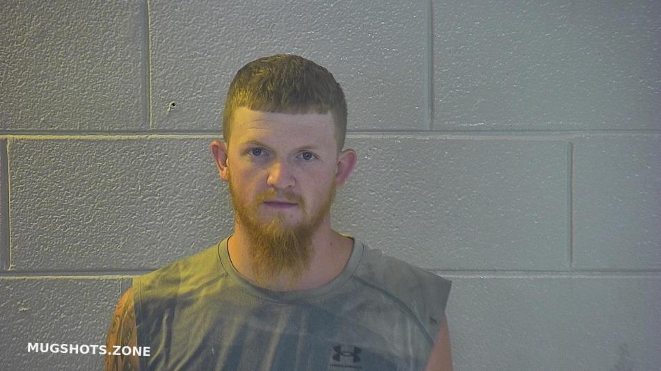 HAWK AARON NICHOLAS 09/22/2022 - Pulaski County Mugshots Zone