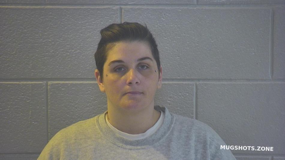 FEESE HEATHER MICHELLE 04/10/2024 - Pulaski County Mugshots Zone