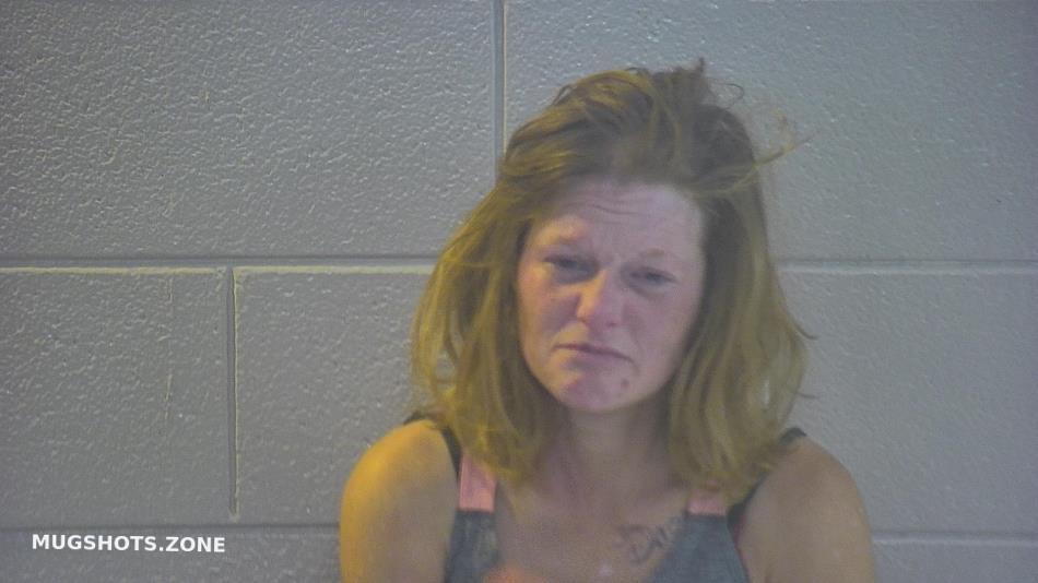 COLYER ANGELA MARIE 12/24/2024 - Pulaski County Mugshots Zone