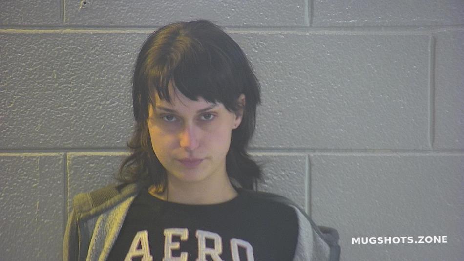 BURCHFIELD SARAH L 03/08/2025 - Pulaski County Mugshots Zone
