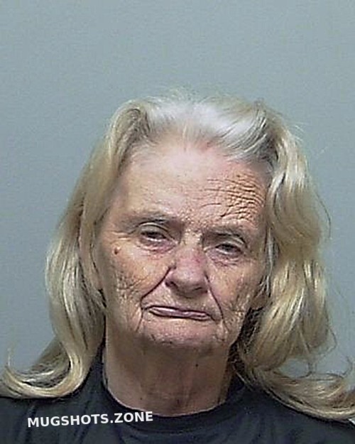GARRISON MARCIA LOUISE 01/31/2021 - Putnam County Mugshots Zone