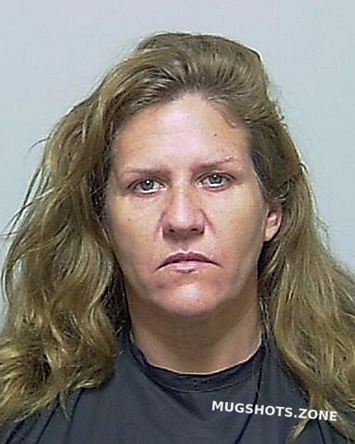 ELLIS HOLLIE DARLENE 02/19/2021 - Putnam County Mugshots Zone