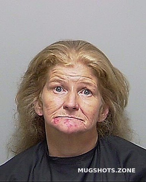 HARRISON SHERRY JEAN 10/06/2021 - Putnam County Mugshots Zone