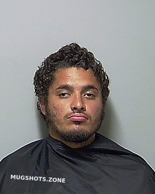 TORRES JESUS 12/31/2021 - Putnam County Mugshots Zone