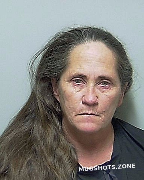 ANDREWS KIMBERLY KAY 06/08/2022 - Putnam County Mugshots Zone