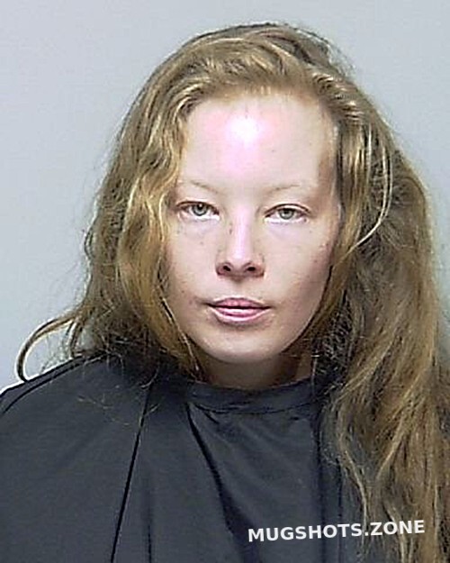 Robideaux Vanessa Lyn 12 29 2022 Putnam County Mugshots Zone