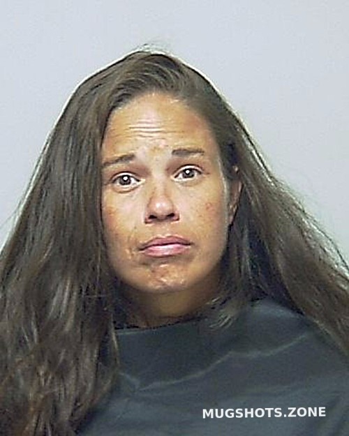 Stager Jamie Michelle 03082023 Putnam County Mugshots Zone