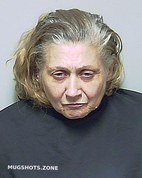 METZLER CYNTHIA DENISE 06/16/2023 - Putnam County Mugshots Zone