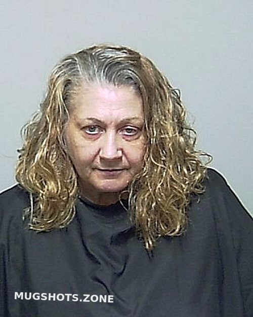 METZLER CYNTHIA DENISE 02/22/2024 - Putnam County Mugshots Zone