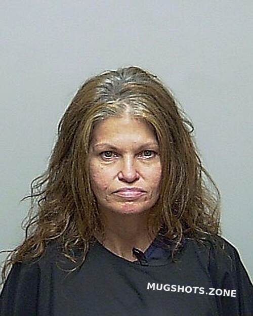 SHUROCK TRACY D 06/05/2024 - Putnam County Mugshots Zone