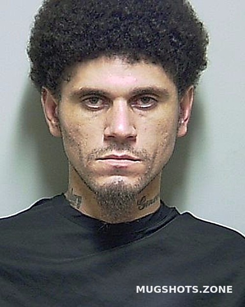 GENOVAL ANGEL LUIS 06/17/2024 - Putnam County Mugshots Zone