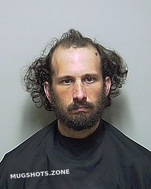 IMMELL DORIAN CALE 08/12/2024 - Putnam County Mugshots Zone