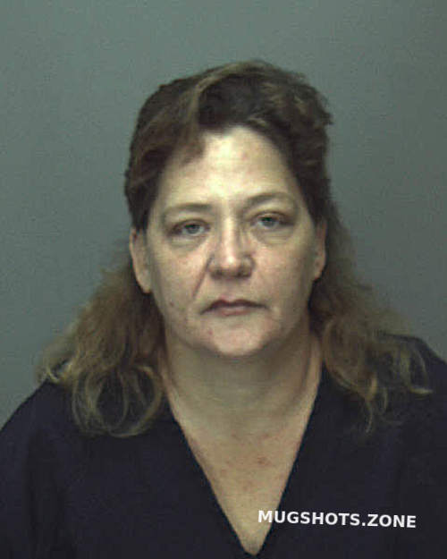 REED TRACEY ANN 08/17/2024 - Putnam County Mugshots Zone