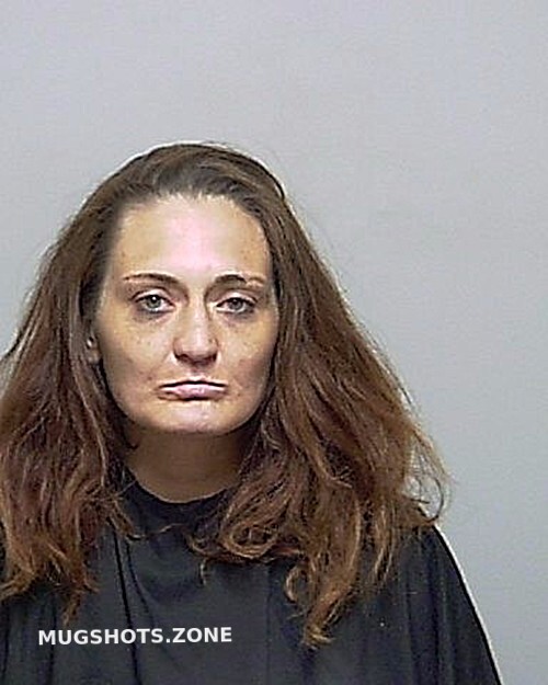 ADAMS HALEY ELIZABETH 10/15/2024 - Putnam County Mugshots Zone