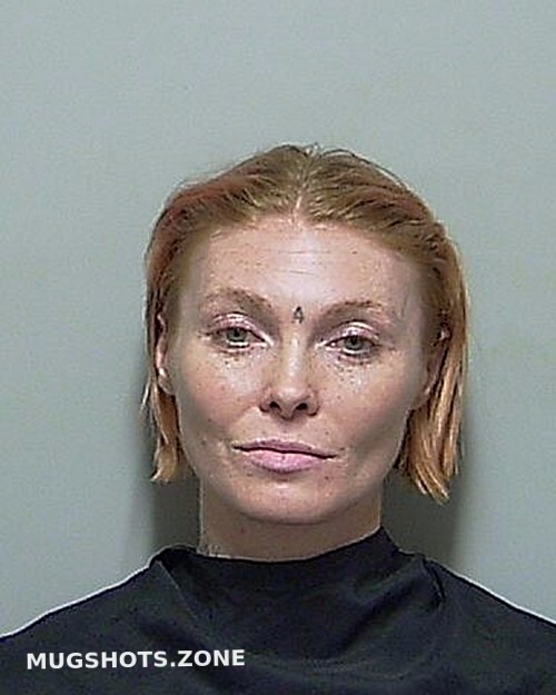 VINOVICH AMANDA KAY 01/17/2025 - Putnam County Mugshots Zone