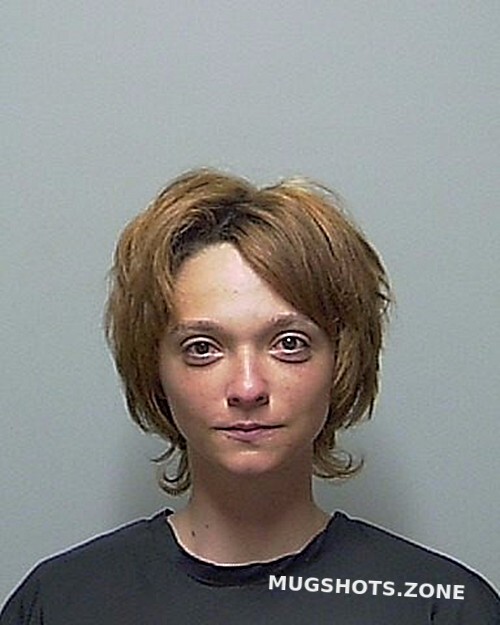 Ayers Chelsey Marie 02 06 2025 Putnam County Mugshots Zone