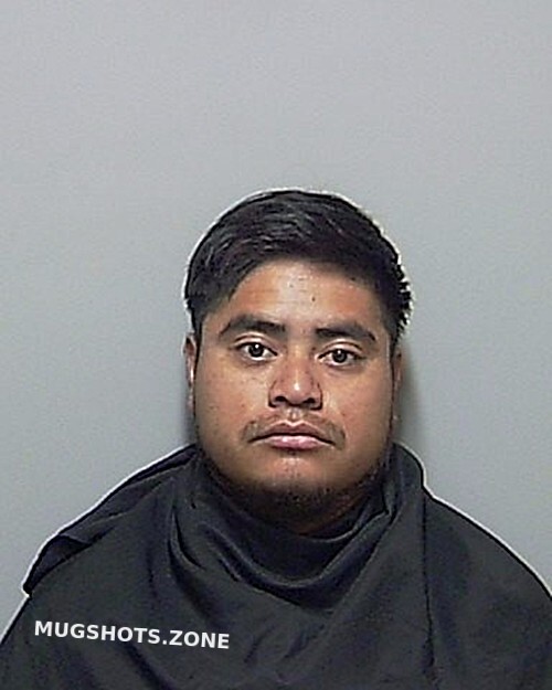 PANZO GUSTAVO PANZO 04/24/2025 - Putnam County Mugshots Zone