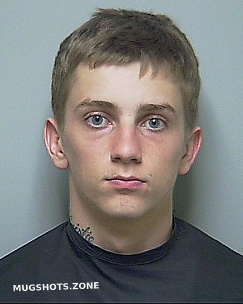 DILLMON ALEXANDER RAY 05/08/2025 - Putnam County Mugshots Zone