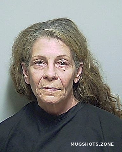 JENKINS SUSAN DIANE 06/20/2025 - Putnam County Mugshots Zone