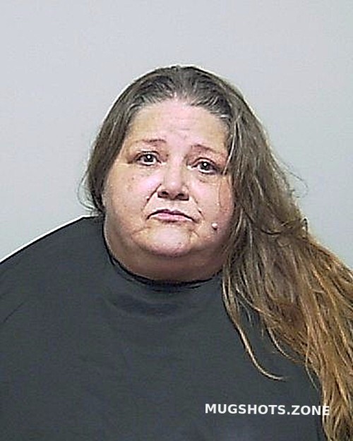 FREED JAMIE KAY 06/22/2025 - Putnam County Mugshots Zone