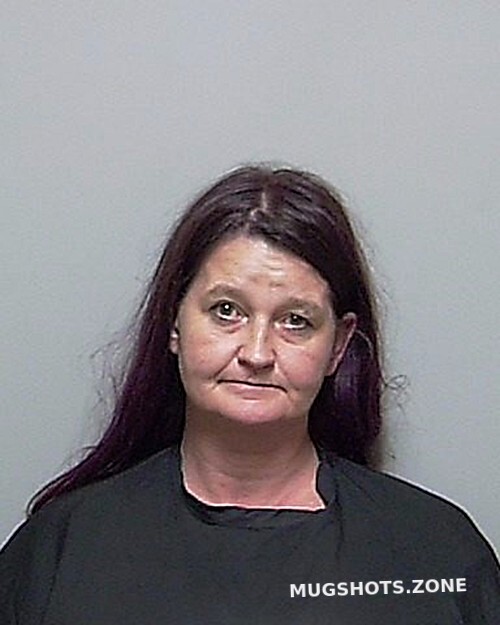 REED HOLLY GAIL 02/04/2026 - Putnam County Mugshots Zone