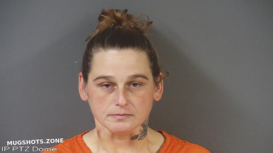 FALZONE SUSAN T. 11/23/2023 - Putnam County Mugshots Zone