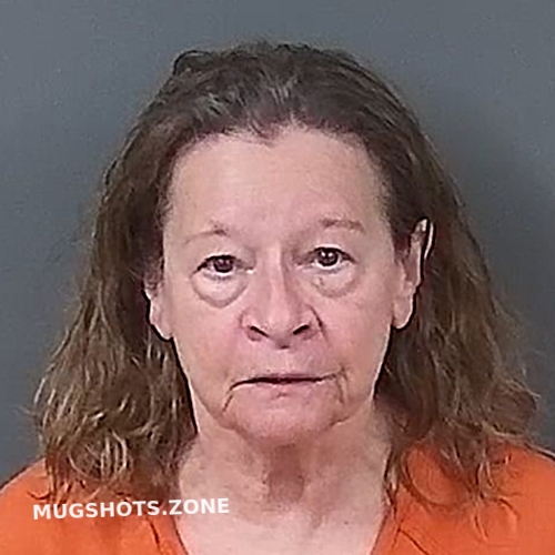 MITCHELL VICKI DARLENE 01/14/2026 - Putnam County Mugshots Zone