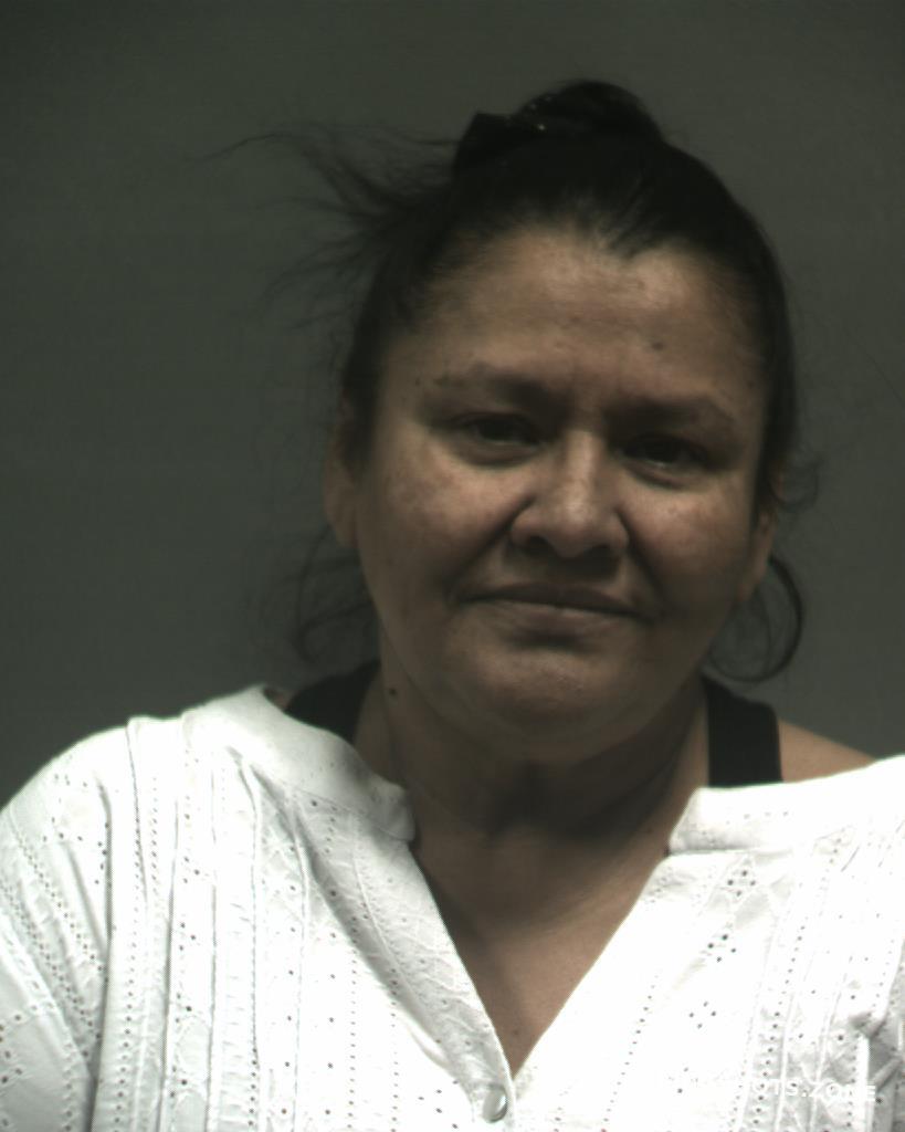 Lara Esperanza Salinas 10 20 2022 Randall County Mugshots Zone