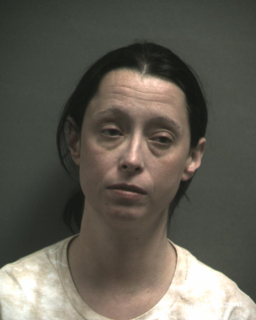 WOLF ALLISON KAY 03/15/2024 - Randall County Mugshots Zone