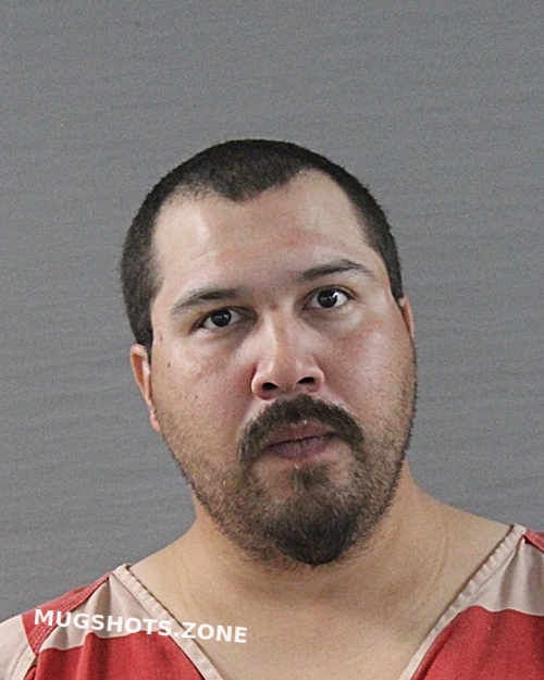 RHYNE JAMES EMMANUEL 01/03/2025 - Randall County Mugshots Zone