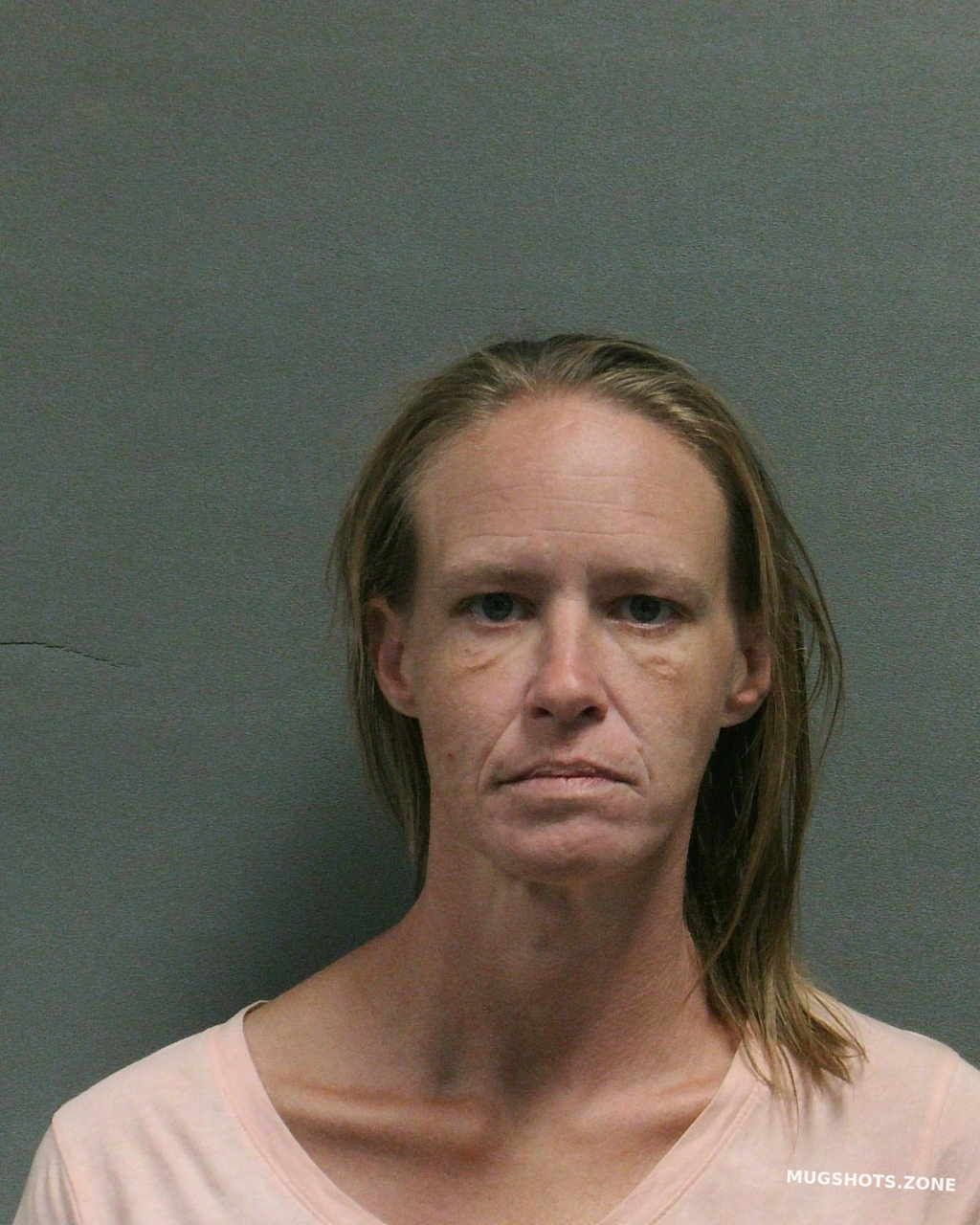 JOHNSON SUZANNE ELIZABETH 03/17/2025 - Randall County Mugshots Zone