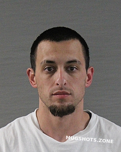 JOY DUSTY RYAN 03/21/2025 - Randall County Mugshots Zone