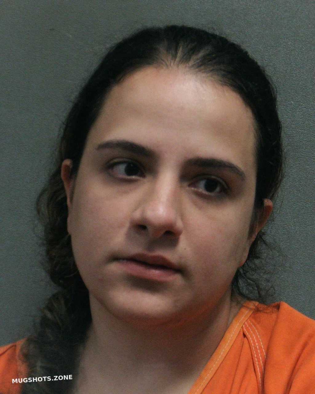 ABDELHAMID MARIAM NABIL 03/27/2025 - Randall County Mugshots Zone