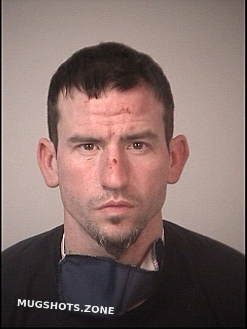 TAYLOR JAMES LOGAN 02/14/2021 - Rappahannock Regional Jail Mugshots Zone