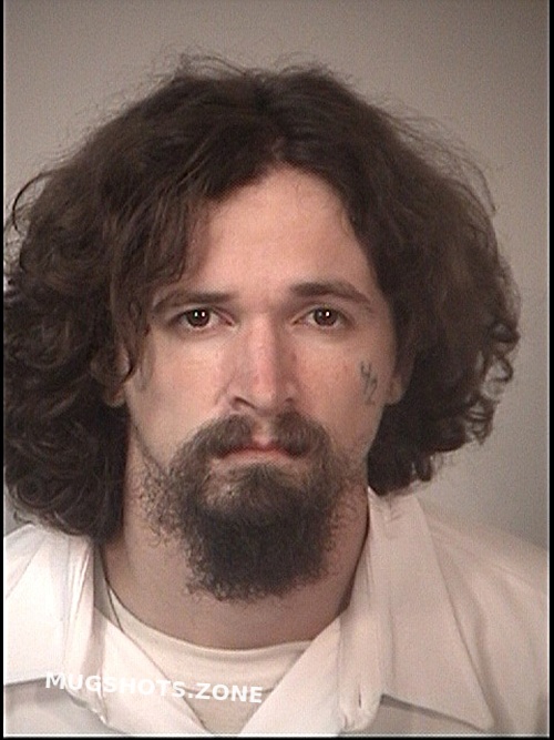 CAIN BRIAN MICHAEL 02/18/2021 - Rappahannock Regional Jail Mugshots Zone